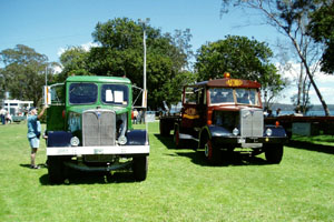 ANDREW BLACKLOCK · AUSTRALIAN BONNETED AECs